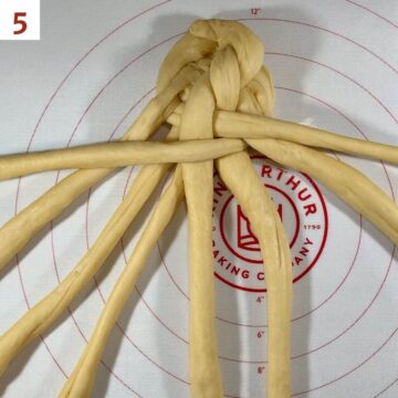 How to Braid an Eight Strand Challah Two Ways - Scotch & Scones