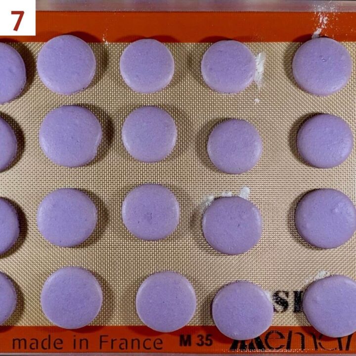 Perfect French Macarons Step by Step - Scotch & Scones